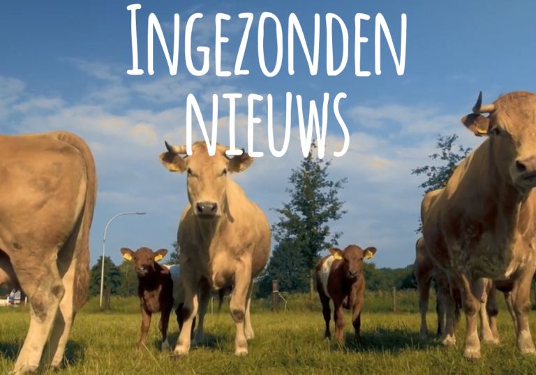 ­Home - Okkenbroek.net